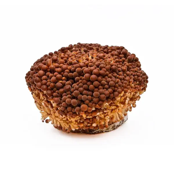 Ciuperci Enoki 100g - Frisco.ro