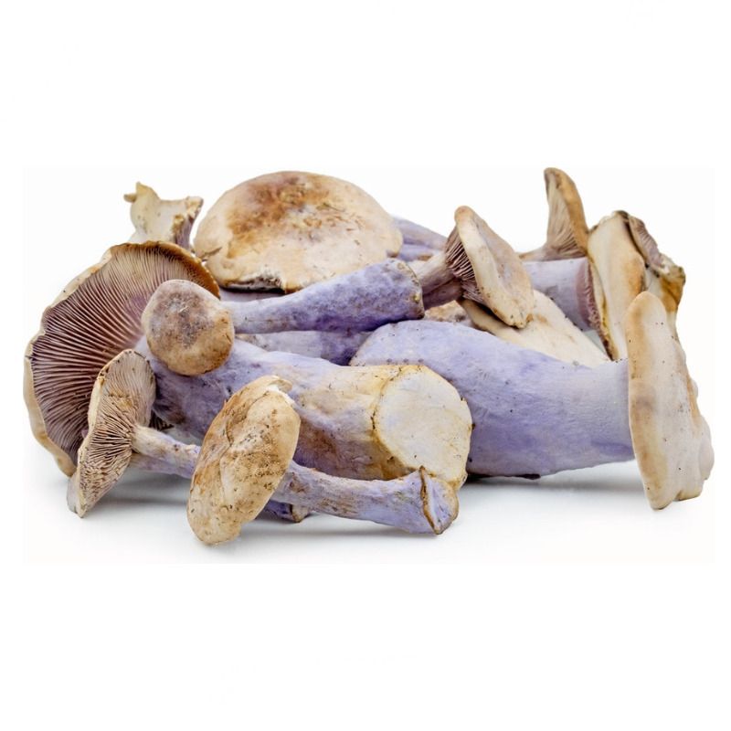 Ciuperci Pied Blue 500g - Frisco.ro